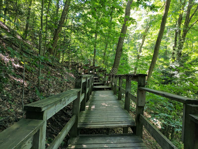 Pj hoffmaster state park stock image. Image of park, beach - 95746859