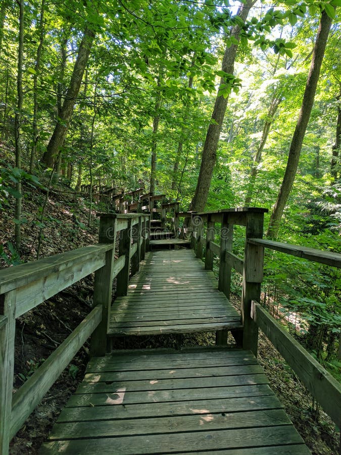 Pj hoffmaster state park stock image. Image of park, beach - 95746859