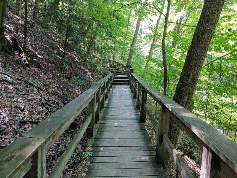 Pj hoffmaster state park stock image. Image of state - 95746869