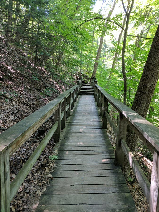 Pj Hoffmaster state park stock image. Image of beach - 95746883