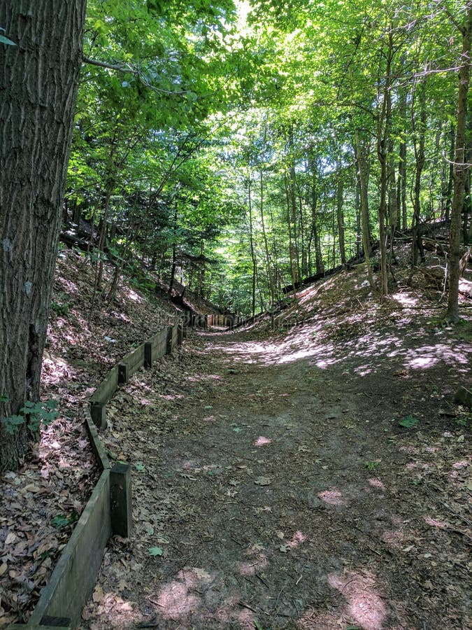 Pj Hoffmaster state park stock photo. Image of hoffmaster - 95746892