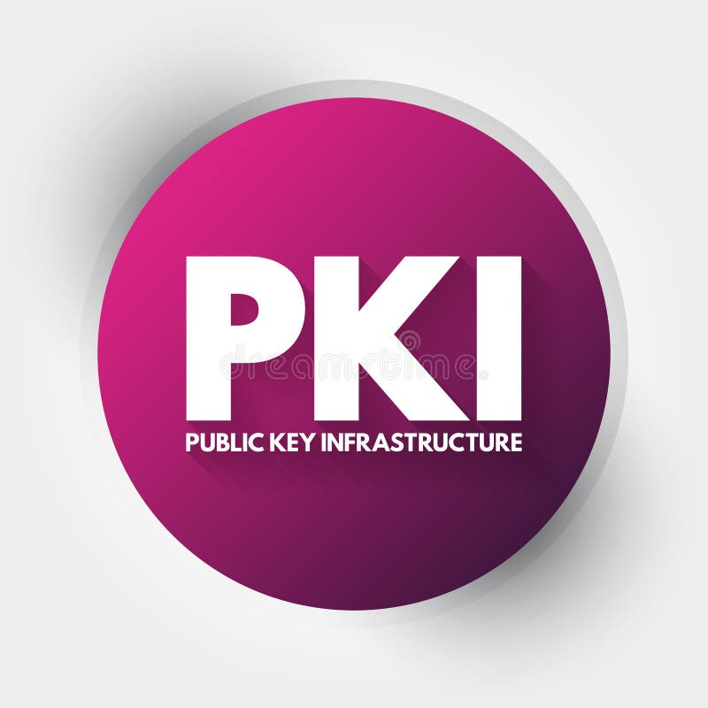 PKI - Public Key Infrastructure is a Set of Roles, Policies, Hardware ...