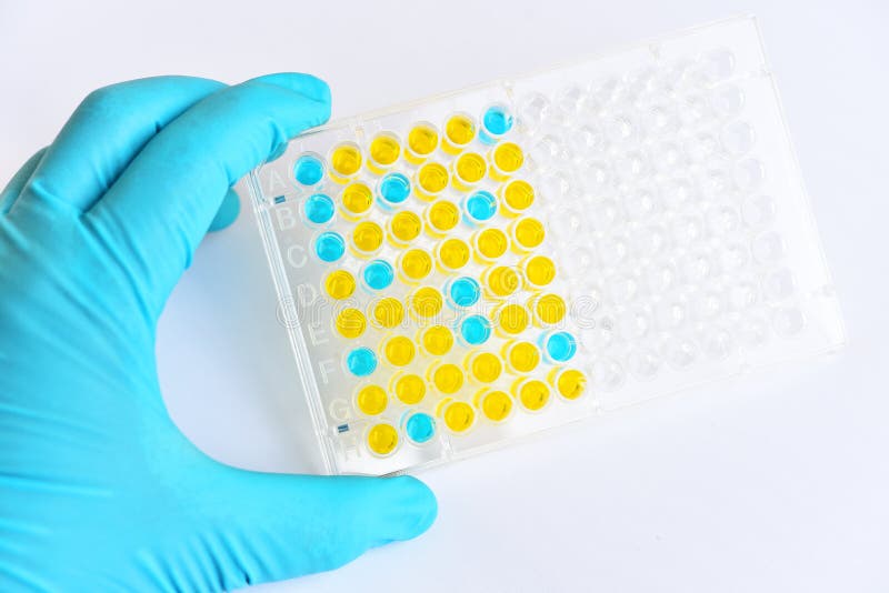 Placa De ELISA Para Medir El OD Con El Lector Del Microplate Foto de ...