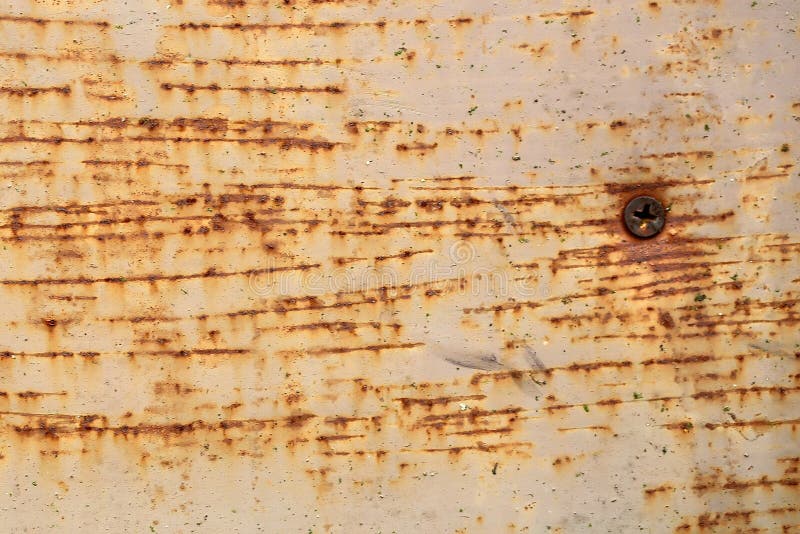 Placa Oxidada Del Hierro Con El Tornillo Foto de archivo - Imagen de ...