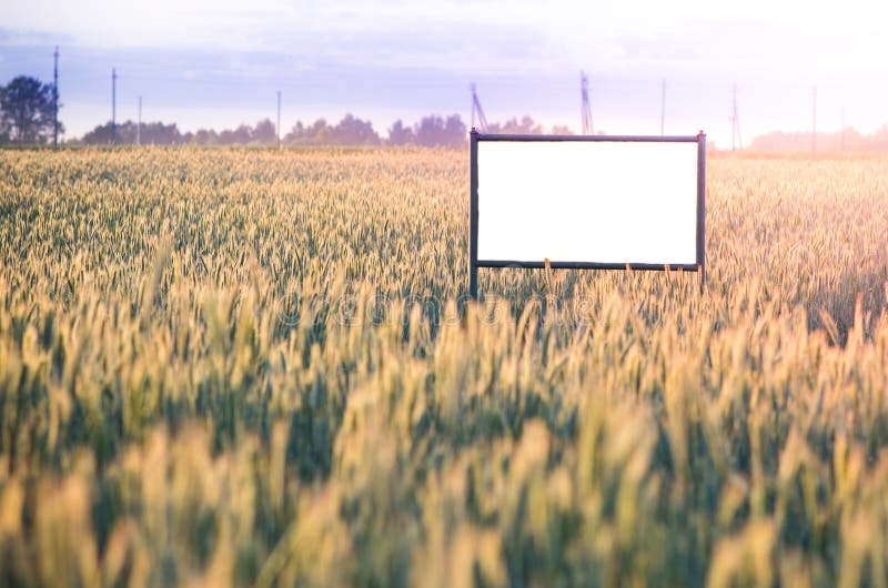 Place for advertisement stock photo. Image of plant, advertisement ...