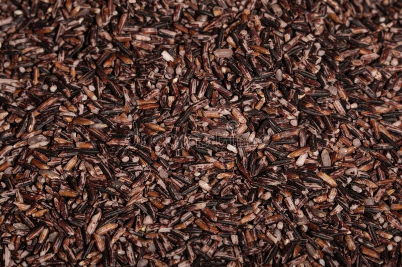 Place the Black Rice in the Plate or Bowl on the Wood Grain Table Stock ...