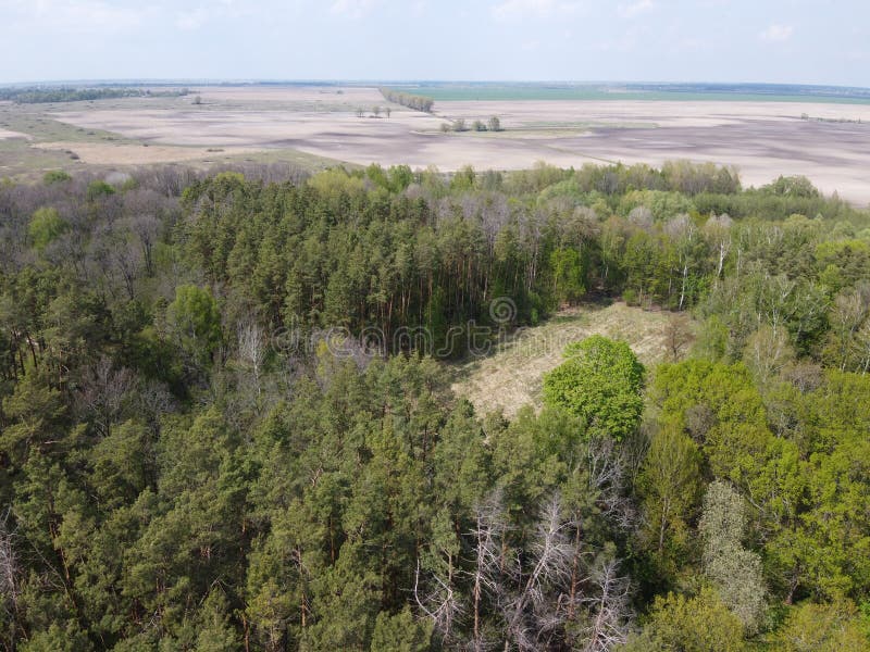 A Place of Felling, Aerial View. Devastated Land, Clearing Stock Photo ...