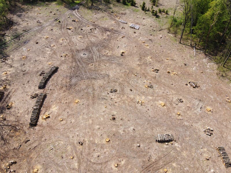 A Place of Felling of Trees, Aerial View. Logging Site Stock Photo ...