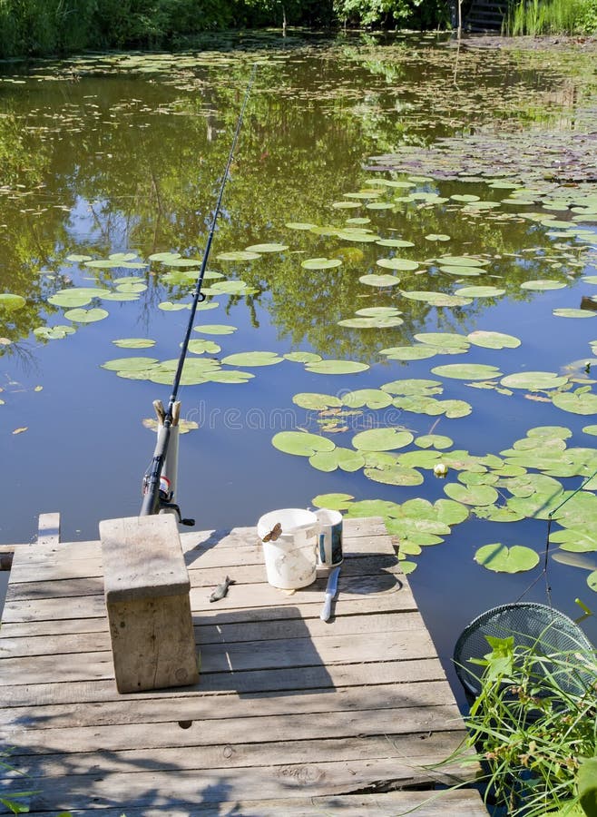 Place for Fishing in a Small Rural Pond Stock Image - Image of place ...