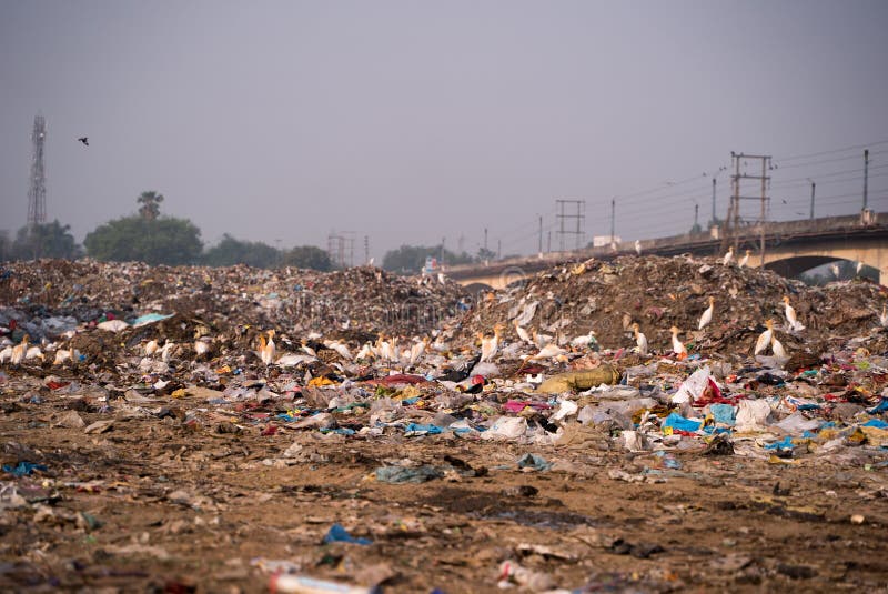 The Place is Full of City Garbage. Stock Photo - Image of sand, person ...