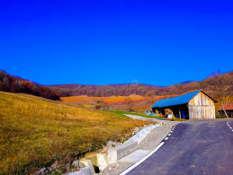 A corner of nature stock image. Image of ville, weed - 136520115