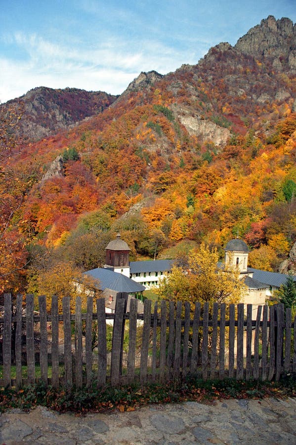 Place of peace stock image. Image of trees, stanisoara - 8062157