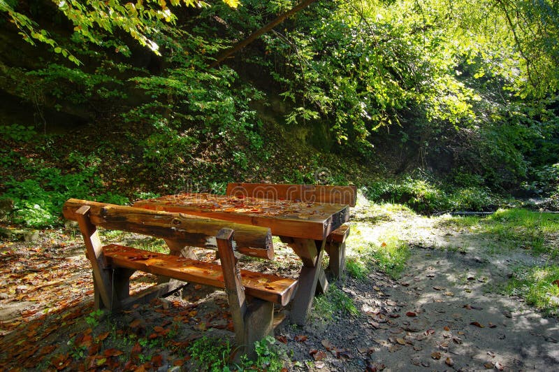 Colored Autumn Landscape. Wooden Table and Benches. Place of Picnic in ...