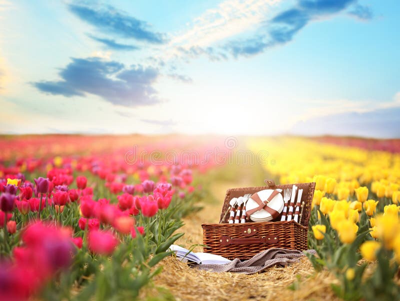 Place for Picnic among Tulips Outdoors on Spring Day Stock Image ...