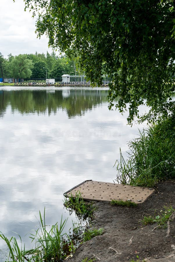 Place on the Pond Where You Can Sit by the Water Stock Image - Image of ...