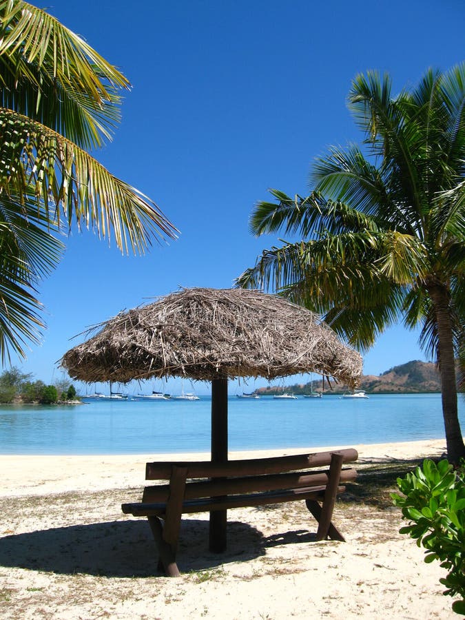 By the ocean, Fiji stock photo. Image of palm, quiet - 11321966