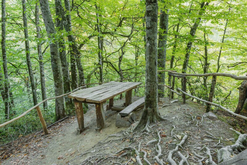 Place for the rest. stock photo. Image of relax, trekking - 199521700