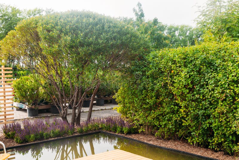 Place for Rest Outdoor Relax Zone Stock Image - Image of flower, design ...