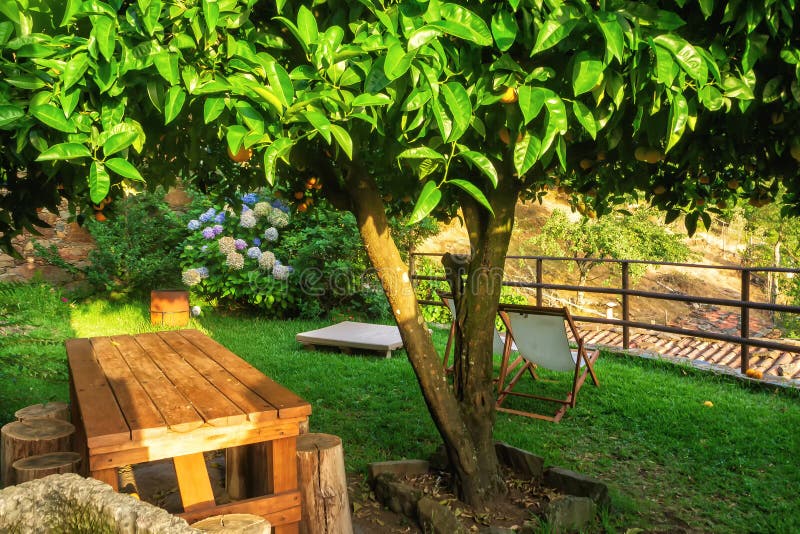 Small Front Garden in the Yard Stock Image - Image of flower, tree ...