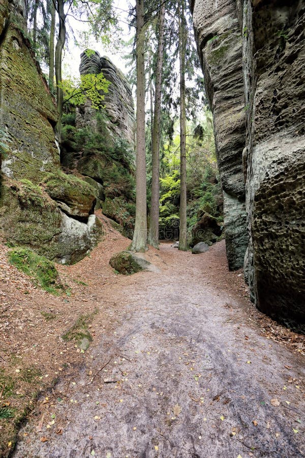 Place between Rocks and Trees Stock Photo - Image of moss, foliage ...