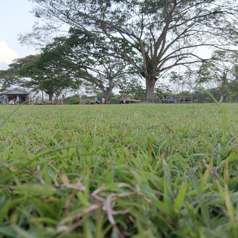 This Place is the Same Place Then and Today, we Sit on the Green Grass ...