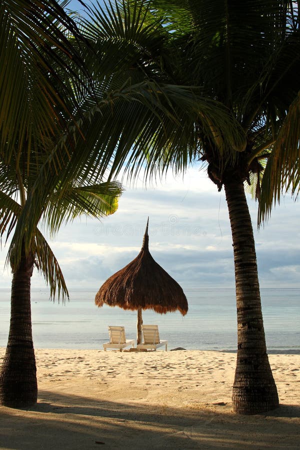 A Place To Sit in the Shade Stock Photo - Image of deciduous, petels ...