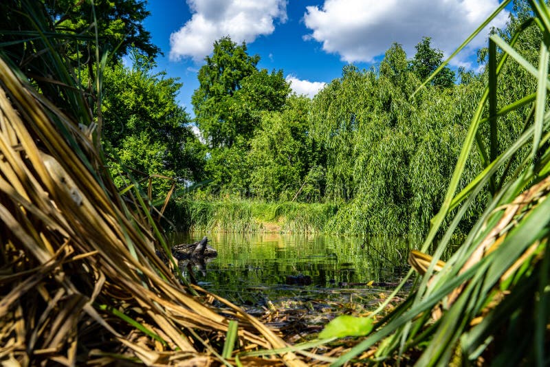 A place to escape the city stock photo. Image of escape - 185536834