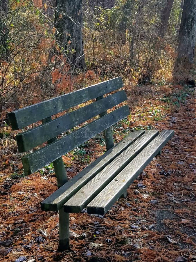 A place to rest stock image. Image of bench, fall, place - 132695043
