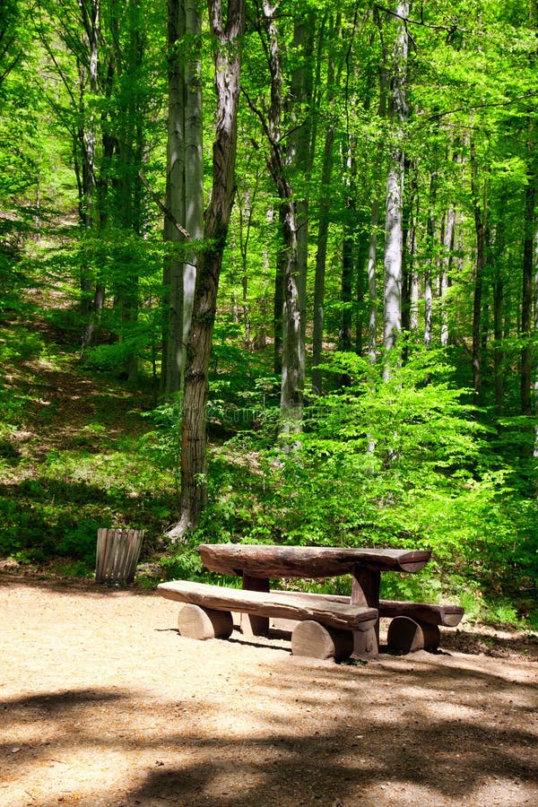 Place To Rest in the Forest Stock Photo - Image of structure, park ...