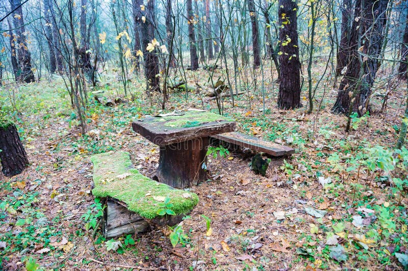 A Place To Rest in the Forest, a Table and Benches for Travelers Stock ...