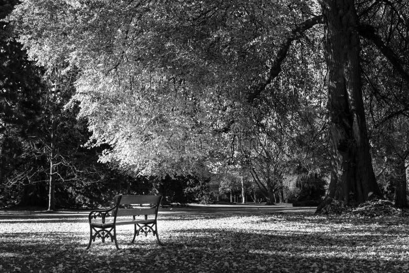 A place to seat and think stock photo. Image of white - 94116438