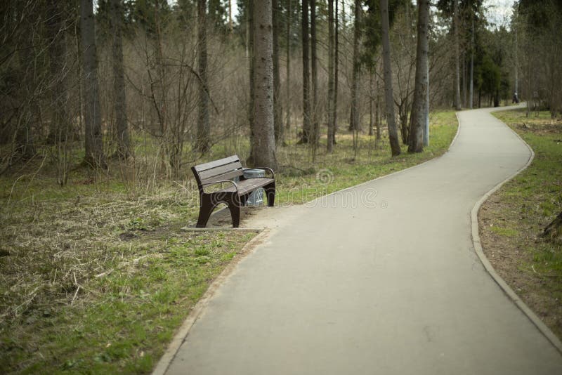 Place To Walk. Asphalted Road for Pedestrians Stock Photo - Image of ...