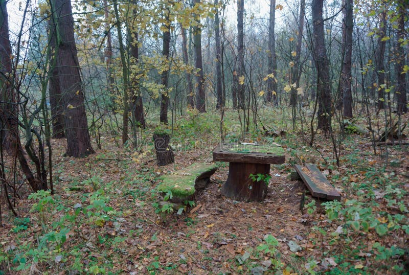A Place for Travelers To Rest, Table and Benches in the Forest Stock ...