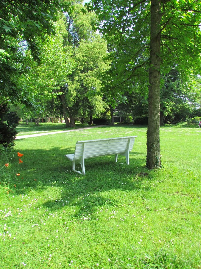 Relaxing at Park Bench Under a Tree Stock Image - Image of place ...