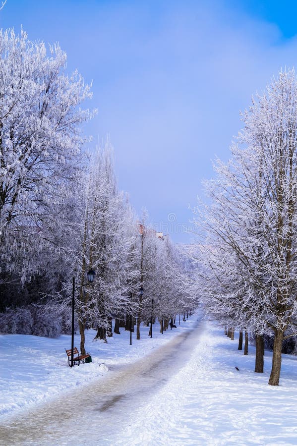 Place and Walking the Road To Park Avenue Winter Stock Photo - Image of ...