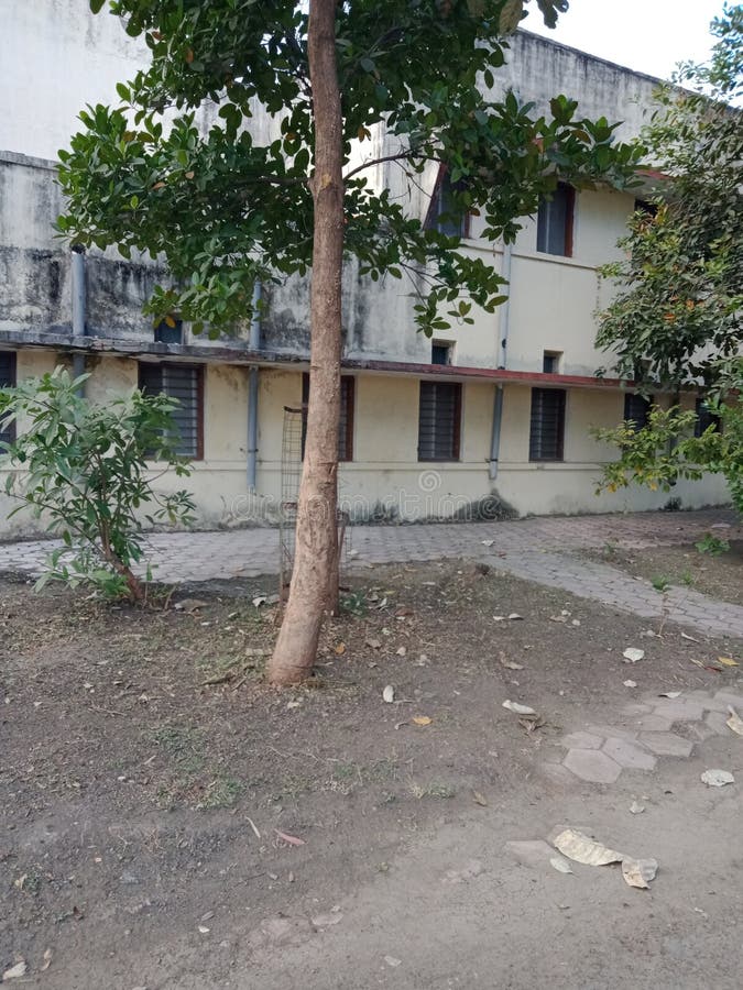 Place Where Good Thinking& X27;s Arrive with Trees and Building Stock ...