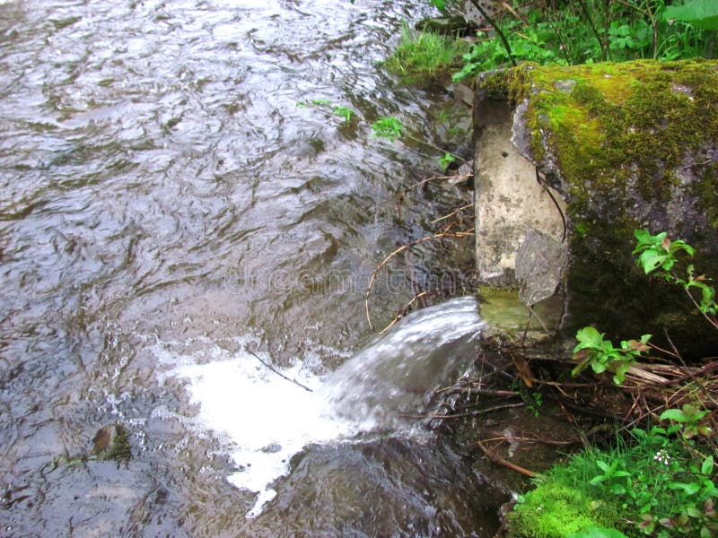 The Place Where the Stream Flows into the River Stock Image - Image of ...