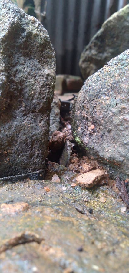 A Place Where Streams Flowed between Two Rocks. Stock Image - Image of ...