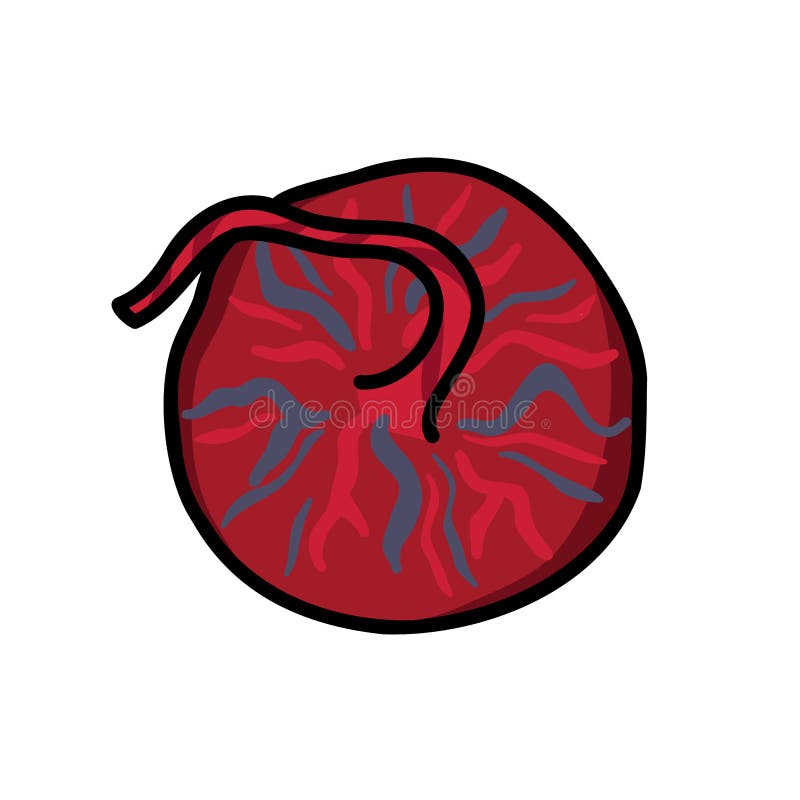 Placenta Icon Stock Illustrations – 684 Placenta Icon Stock ...
