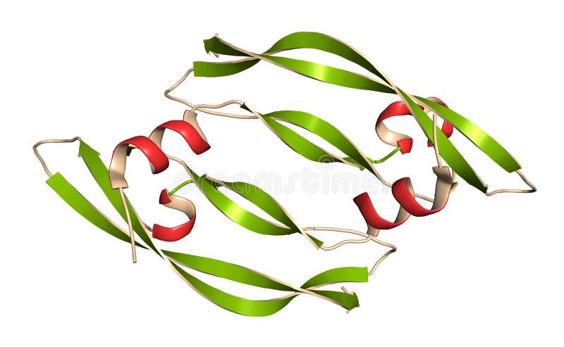 Plgf Stock Illustrations – 4 Plgf Stock Illustrations, Vectors ...