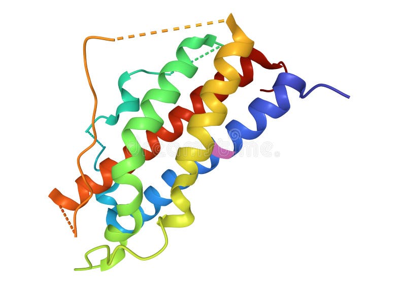 Human Growth Hormone Chemical Structure
