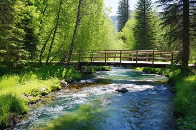 Placid Hot Spring with Sturdy Bridge Stock Image - Image of sturdy ...