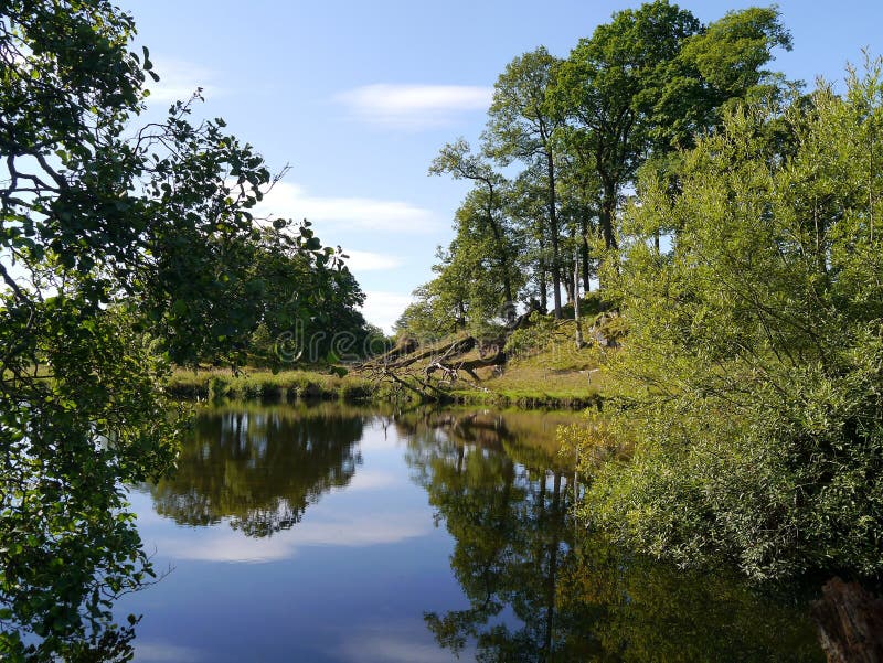 Placid Water Surrounded by Trees Stock Image - Image of blue, line ...