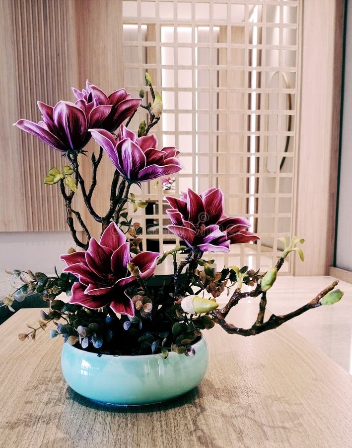 Placing Decorative Plants in the Room Creates a Cheerful Atmosphere ...