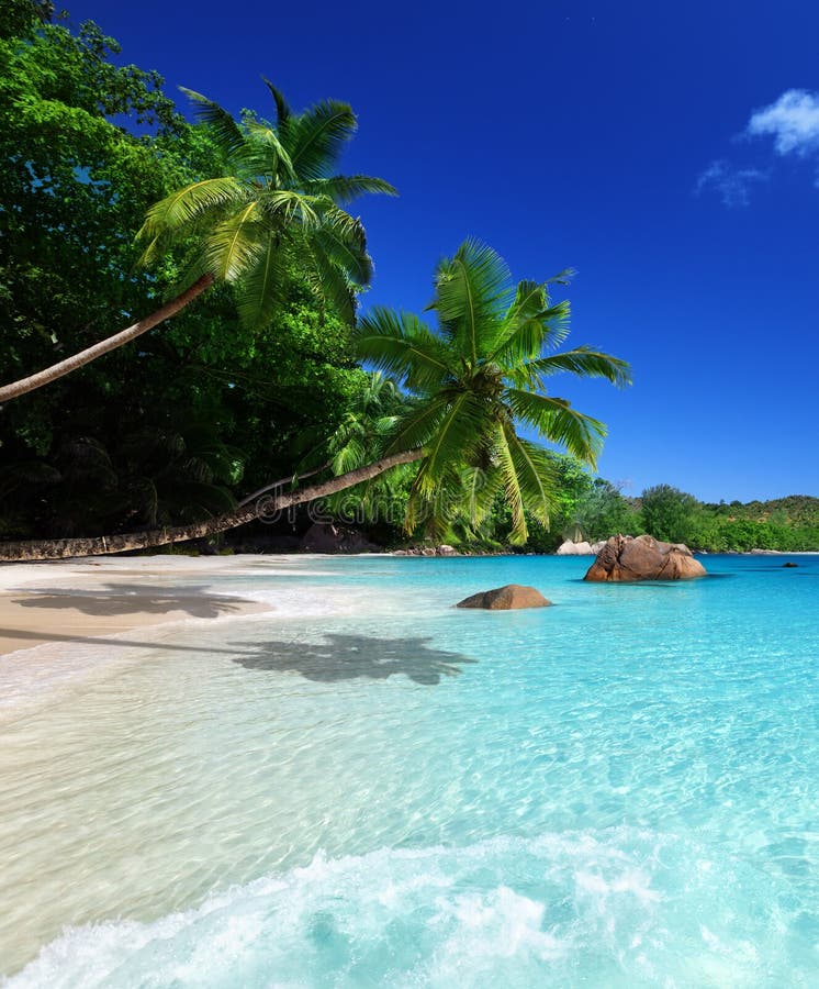 11,066 Photos de Praslin Beach - Photos de stock gratuites et libres de ...
