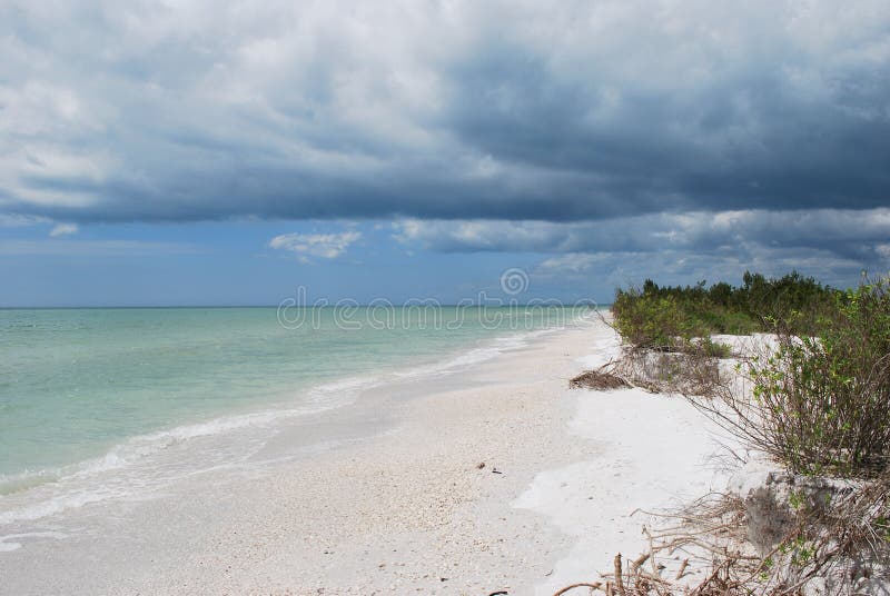 Plage Blanche De Sable De Tigertail De La Floride Image stock - Image ...