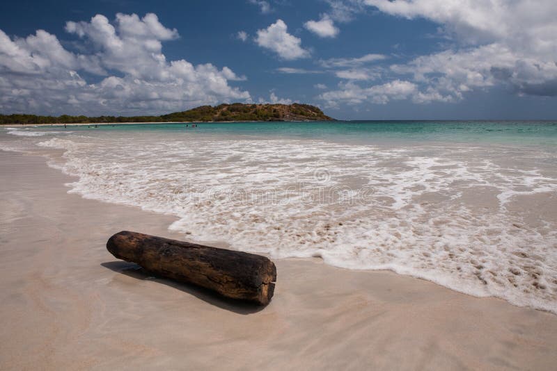 Anse Trabaud Plage Sainteanne Martinique Photo stock - Image du plage ...