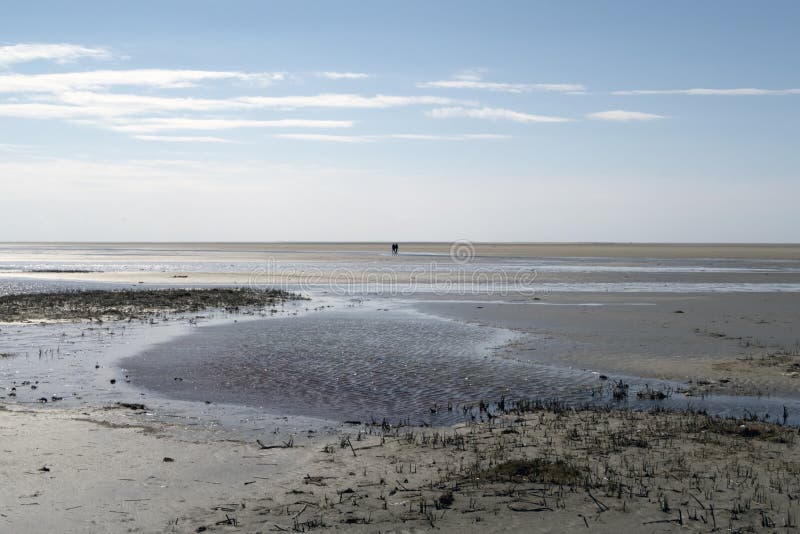 L$mer Des Wadden Sur Fano, Danemark Image stock - Image du national ...