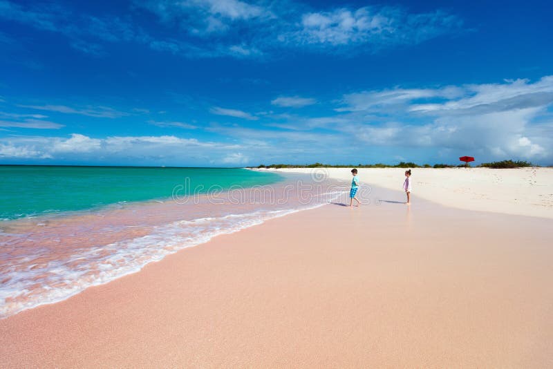 Plage De Sable De Rose De Barbuda Photo stock - Image du shell, océan ...