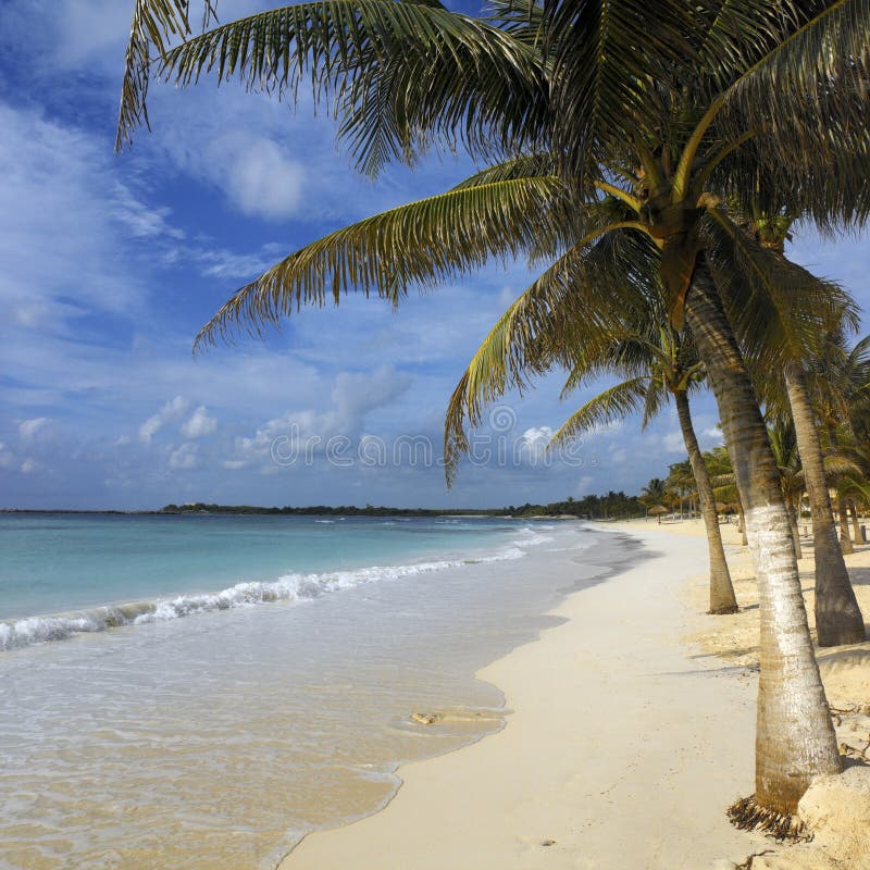 Plage de Cancun au Mexique image stock. Image du horizon - 29538545